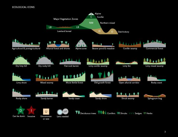 Woody Plants of the Northern Forest – A Digital Atlas, WP-40 | Northern ...