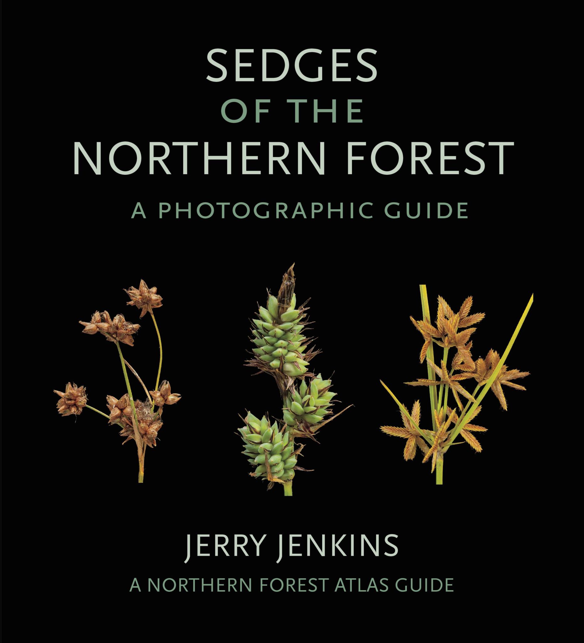 Northern Forest Atlas