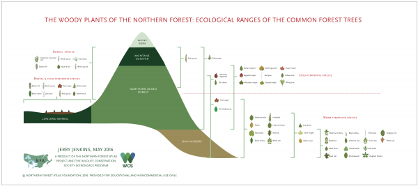 Ecological Ranges of the Northern Forest Trees | Northern Forest Atlas