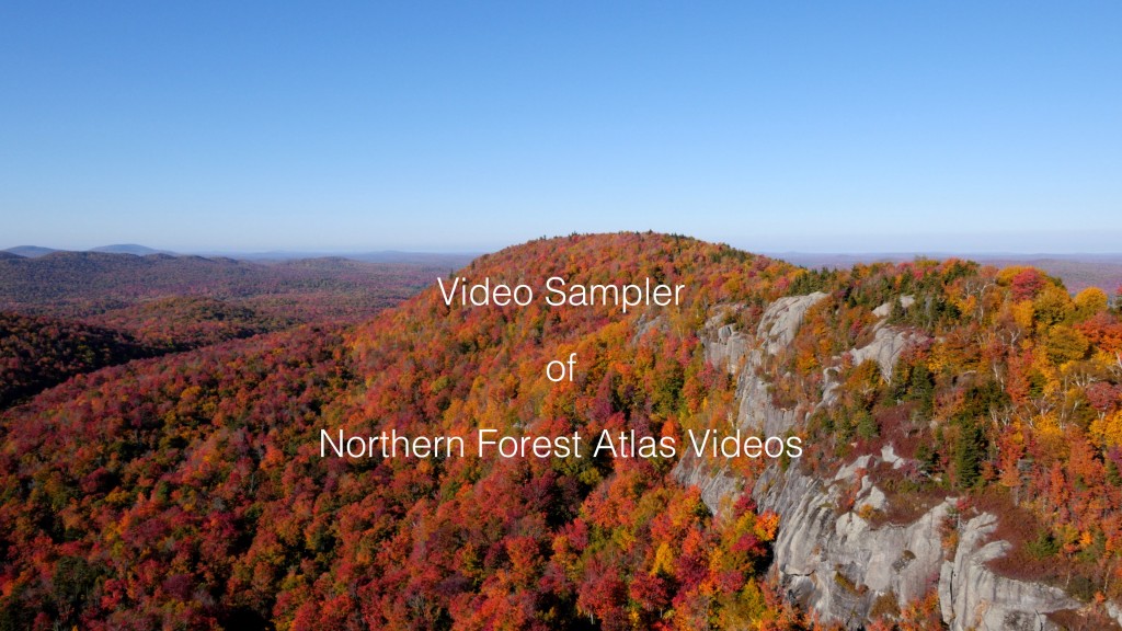 Northern Forest Atlas