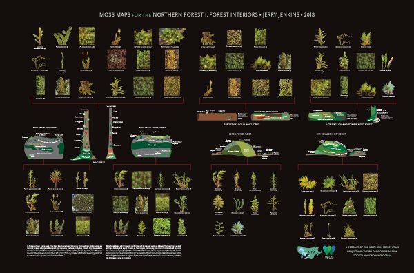 Graphics for Download | Northern Forest Atlas