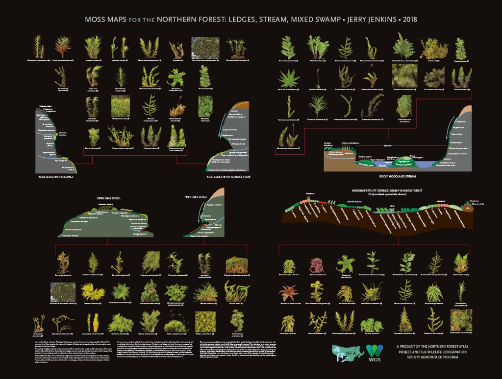 Graphics for Download | Northern Forest Atlas