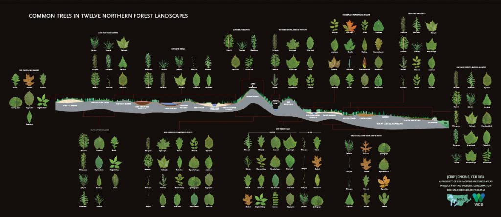 Graphics for Download | Northern Forest Atlas