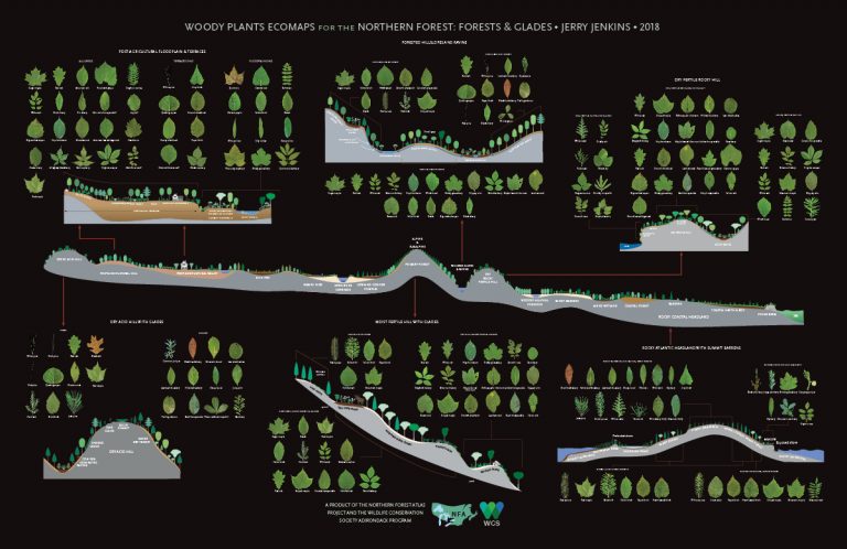Graphics for Download | Northern Forest Atlas