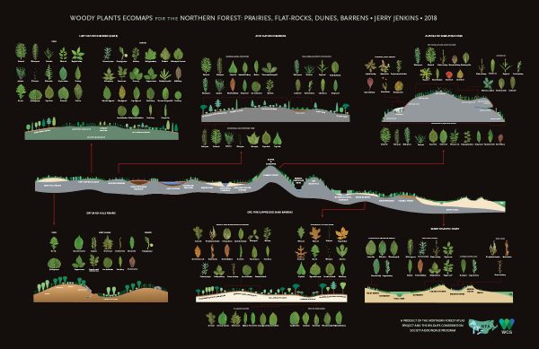 Graphics for Download | Northern Forest Atlas