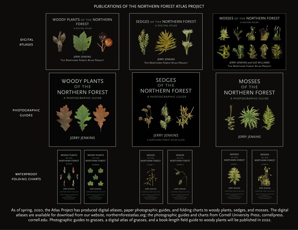 Products | Northern Forest Atlas