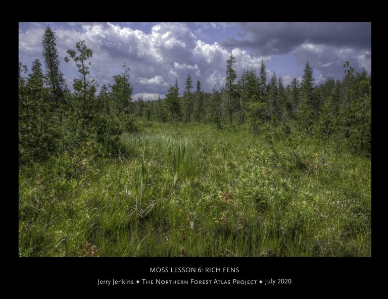 Northern Forest Atlas