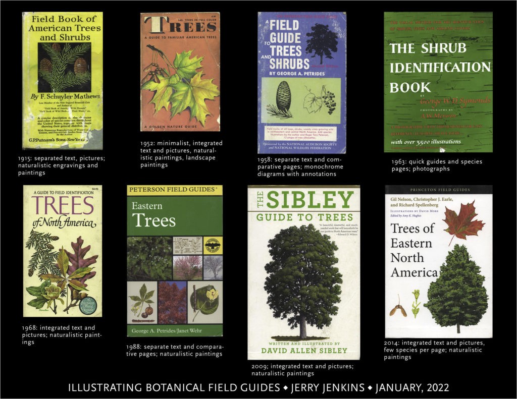 Northern Forest Atlas