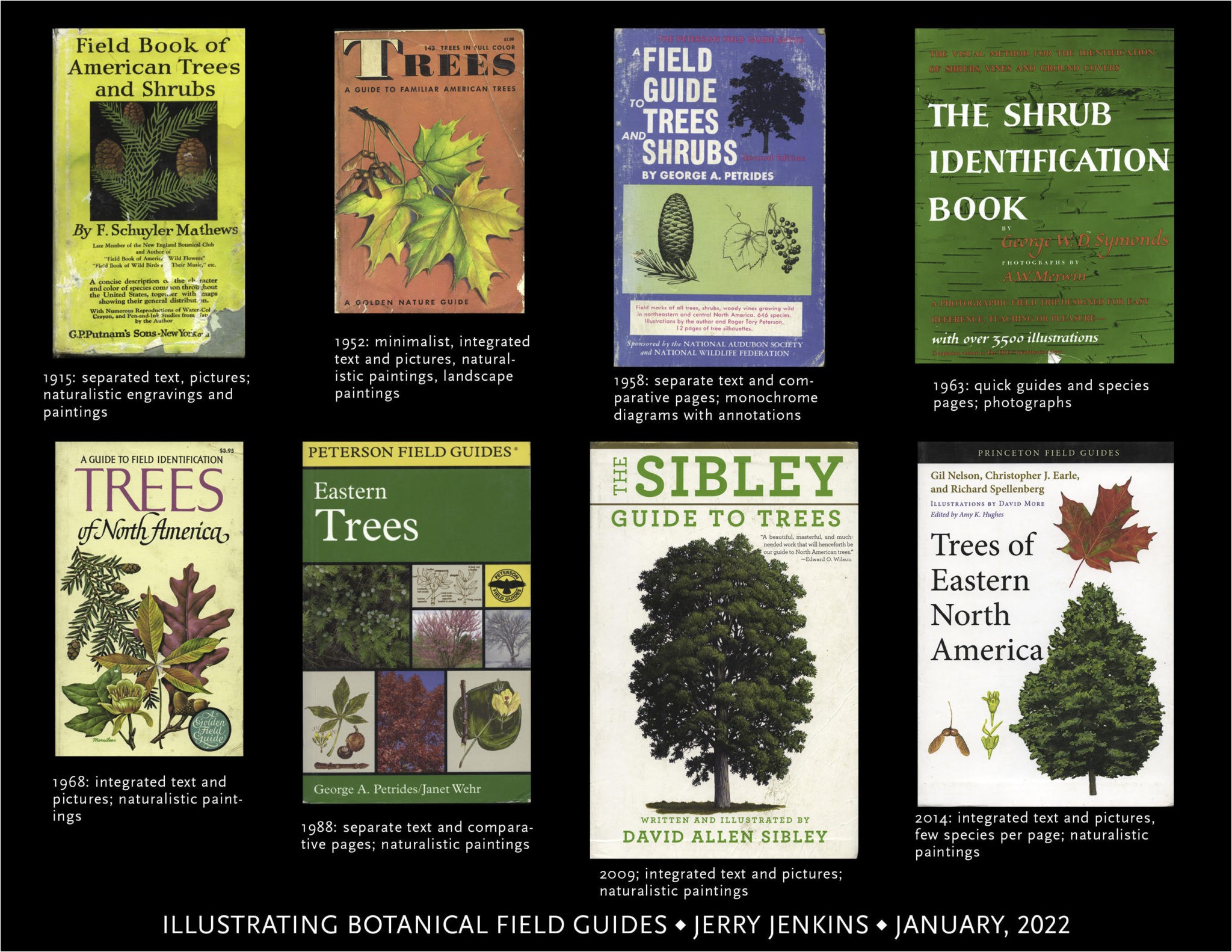 Illustrating Botanical Field Guides | Northern Forest Atlas