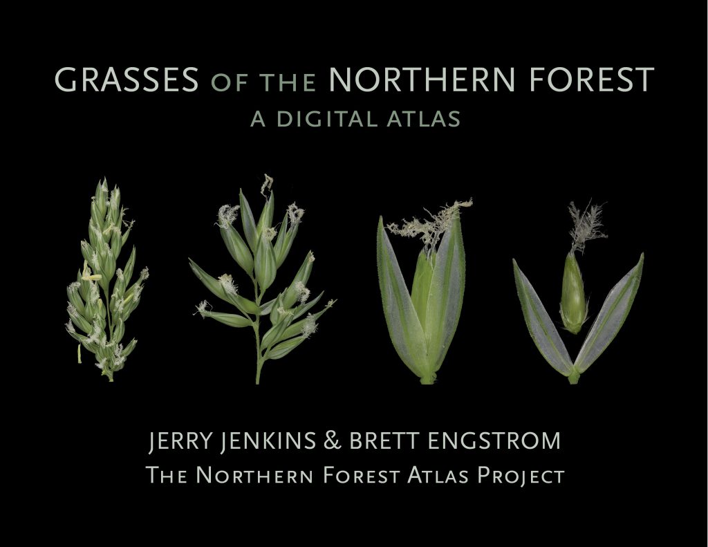Northern Forest Atlas