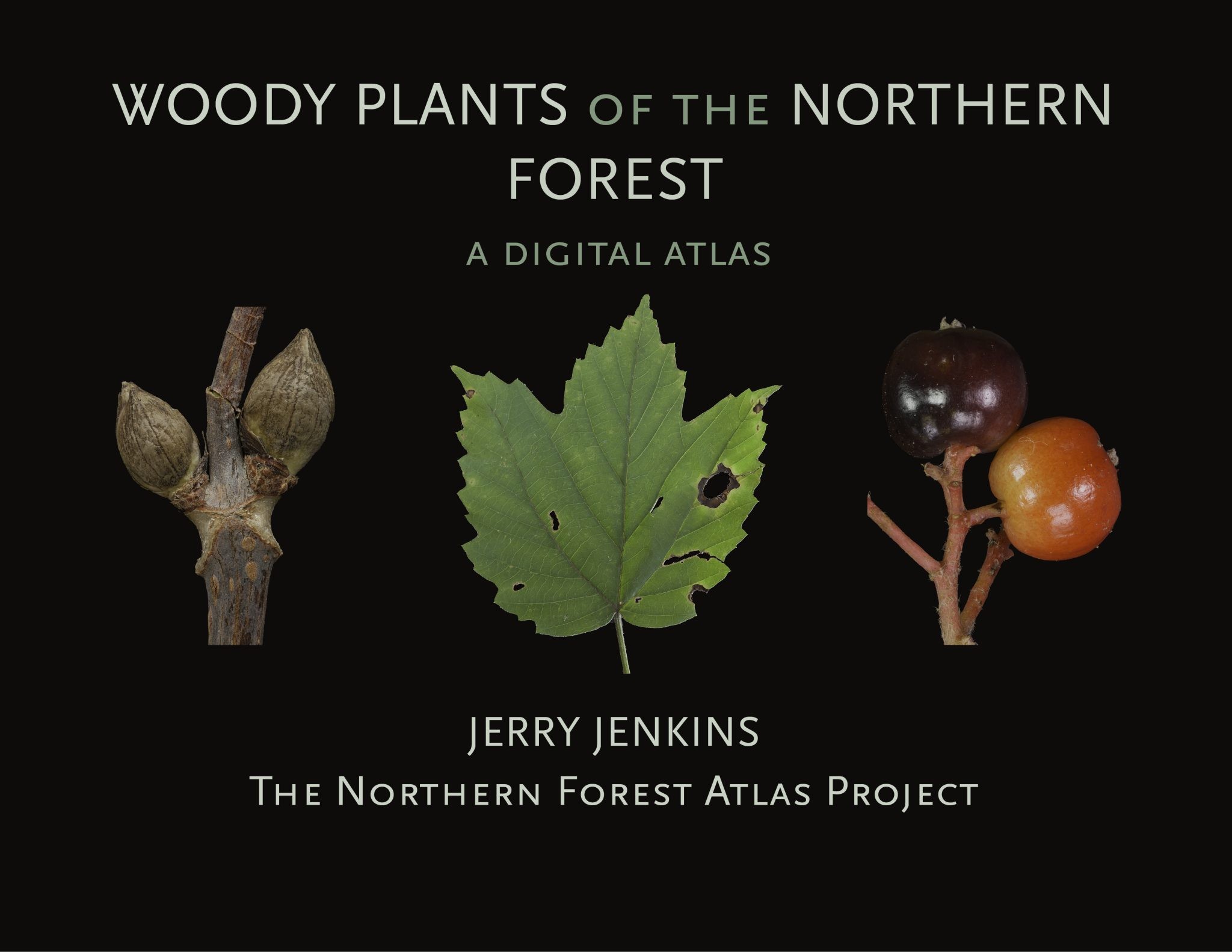 Digital Atlases | Northern Forest Atlas