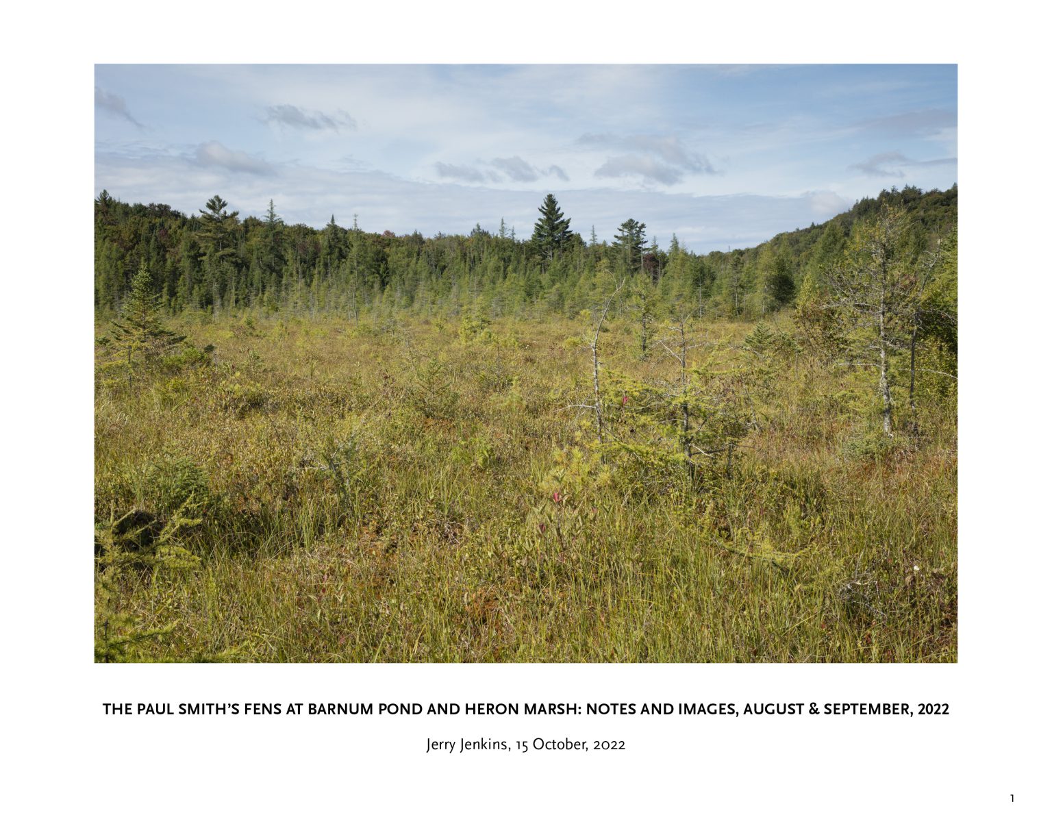 Northern Forest Atlas